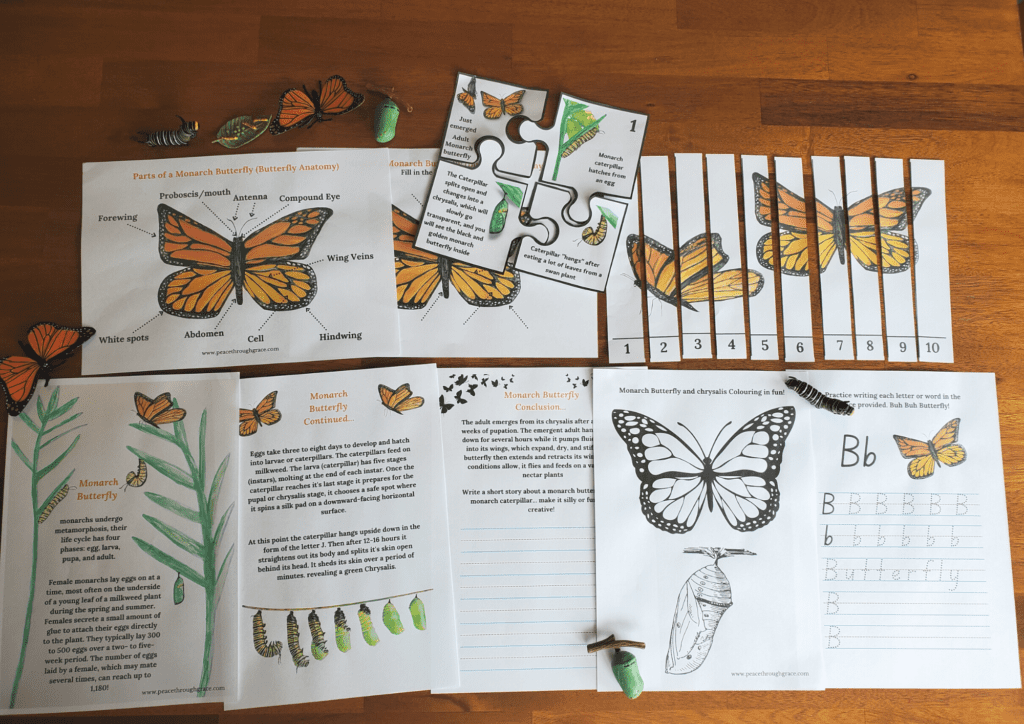 MEGA Insect Printable Bundle - 49 Page Nature Unit Study