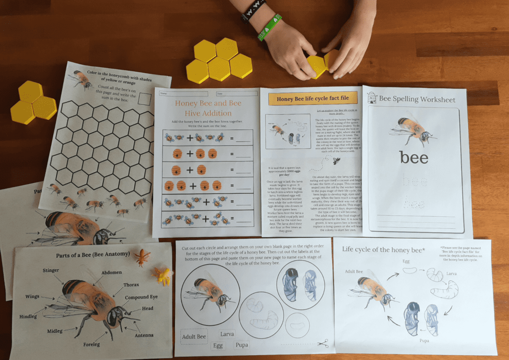 Honey Bee Insect Study Bundle (Ages 5-10) Digital Download Printable ...
