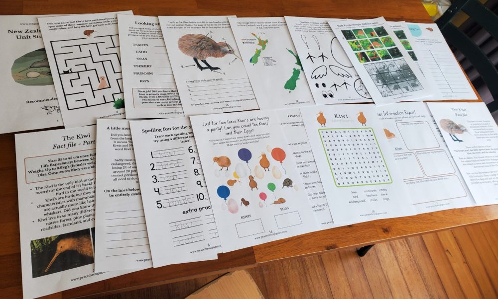 New Zealand Kiwi Bird Unit Study (Ages 5-10) Digital Download Printable ...