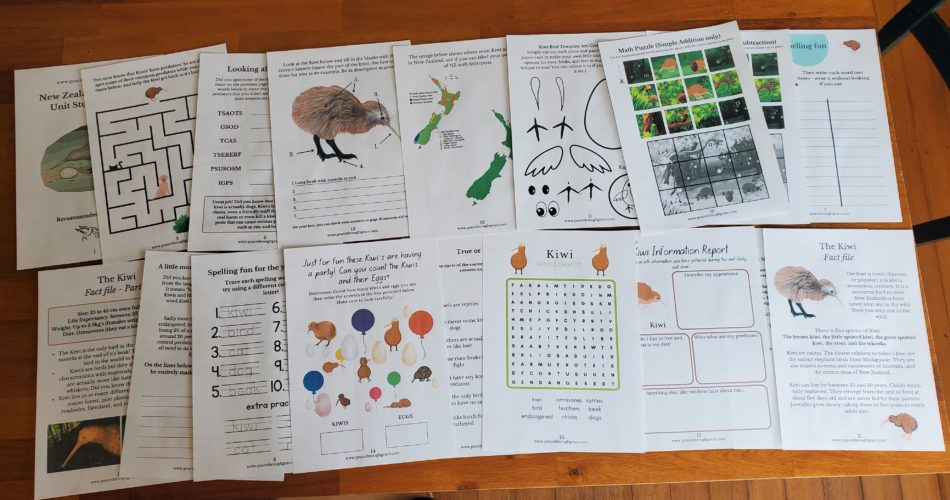 New Zealand Kiwi Bird Unit Study (Ages 5-10) Digital Download Printable ...