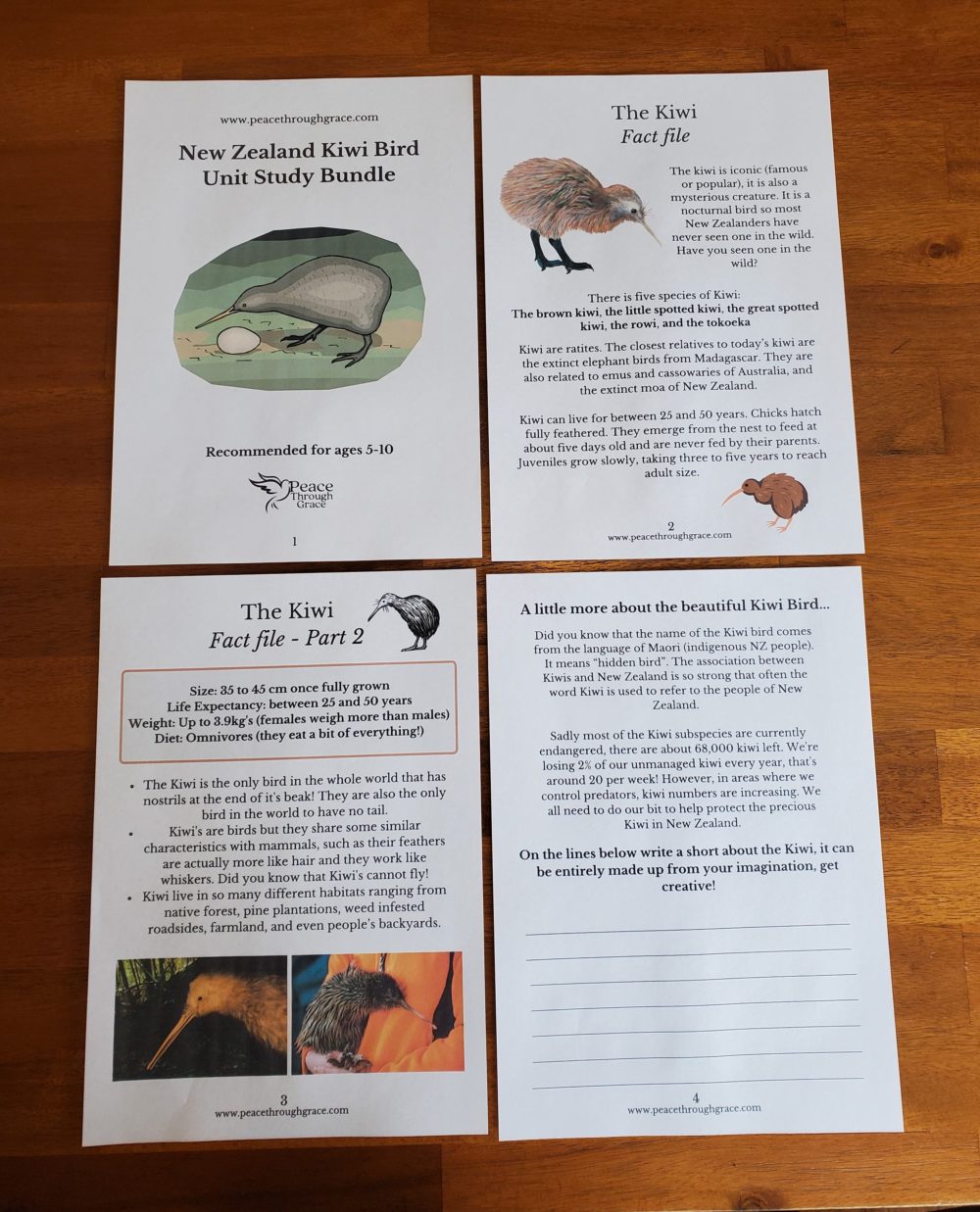 New Zealand Kiwi Bird Unit Study (Ages 5-10) Digital Download Printable ...
