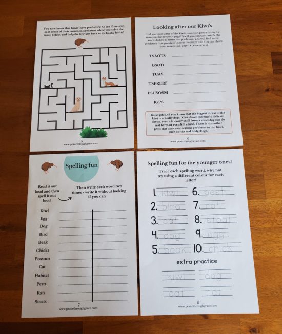 New Zealand Kiwi Bird Unit Study (Ages 5-10) Digital Download Printable ...