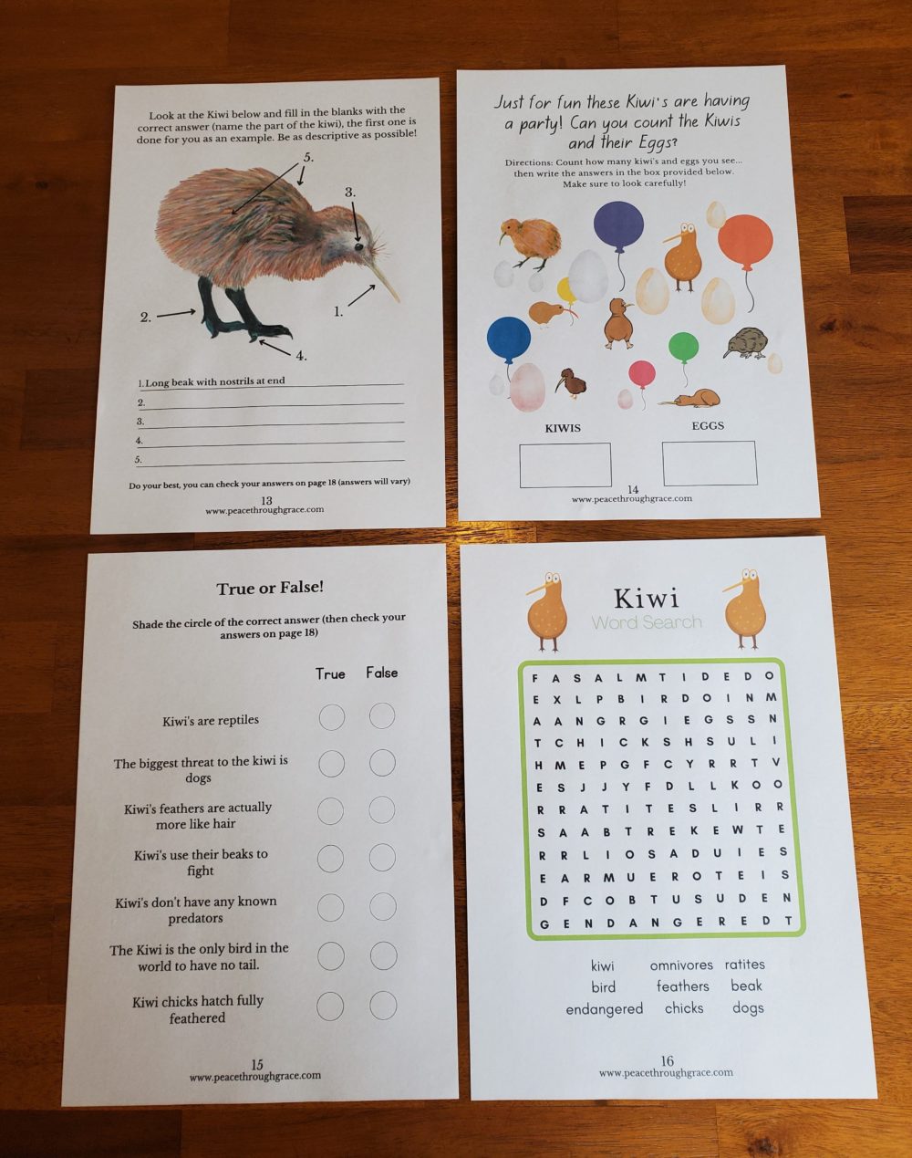 New Zealand Kiwi Bird Unit Study (Ages 5-10) Digital Download Printable ...