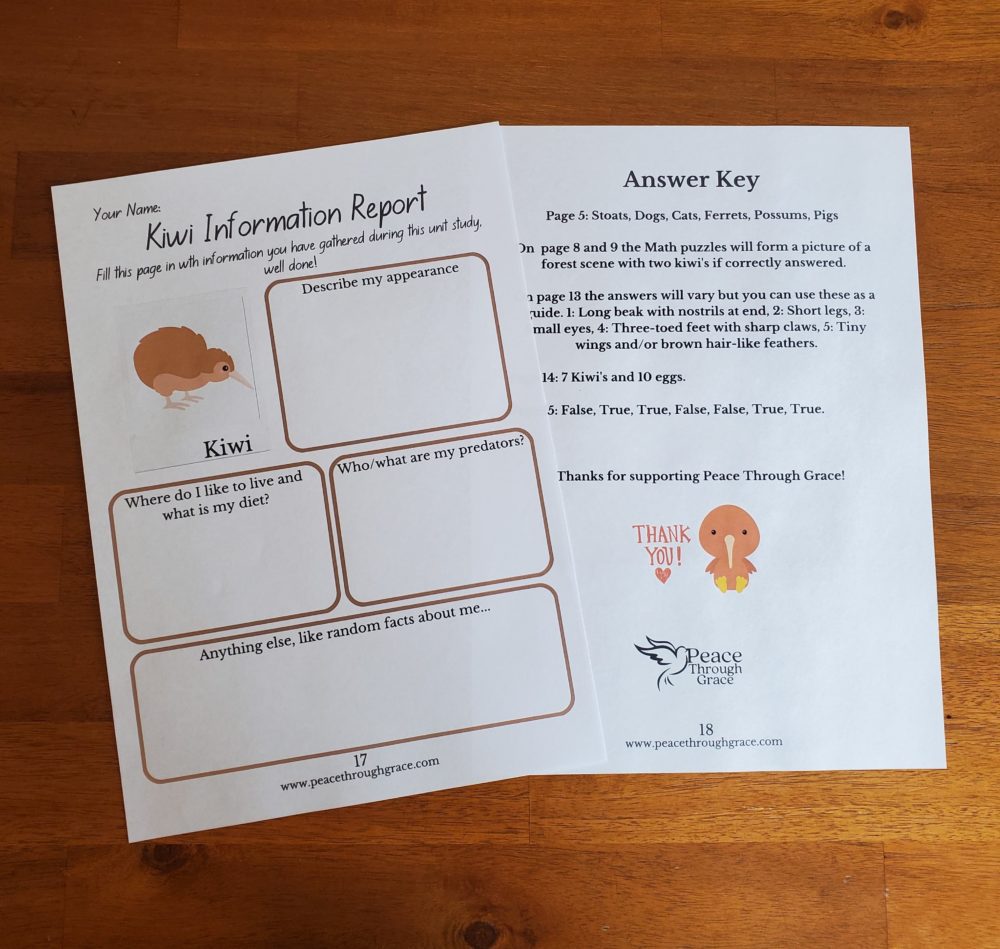 New Zealand Kiwi Bird Unit Study (Ages 5-10) Digital Download Printable ...