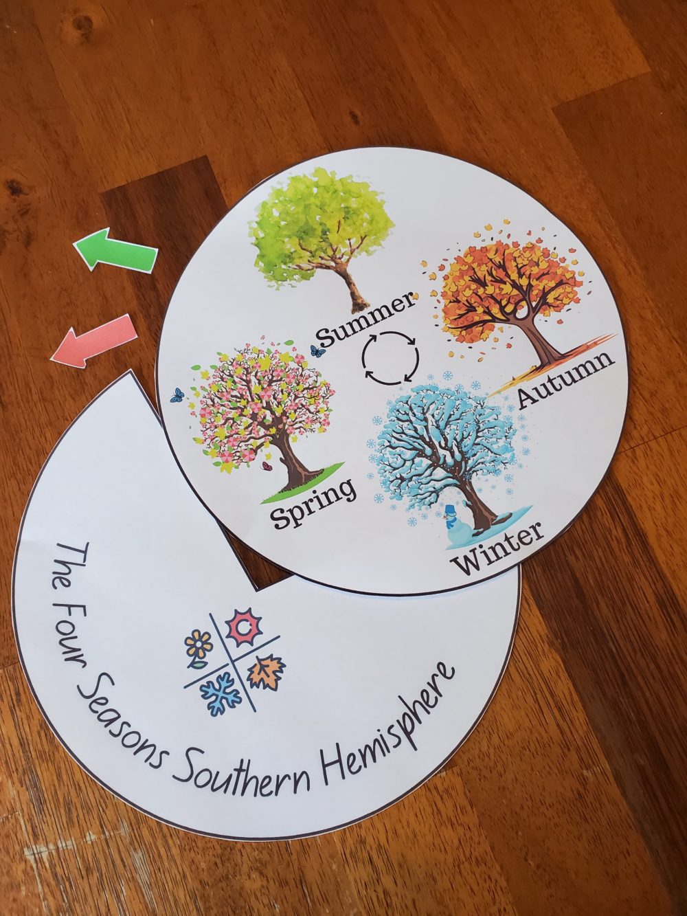 New Zealand Spring Season Unit Study (Ages 4-10) Digital Download ...