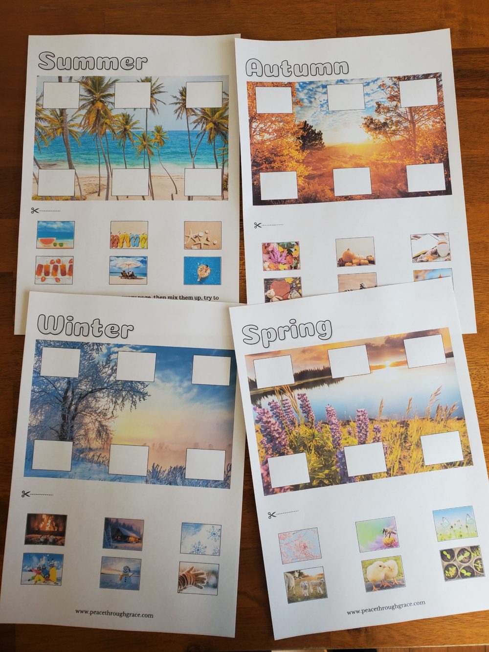 New Zealand Spring Season Unit Study (Ages 4-10) Digital Download ...