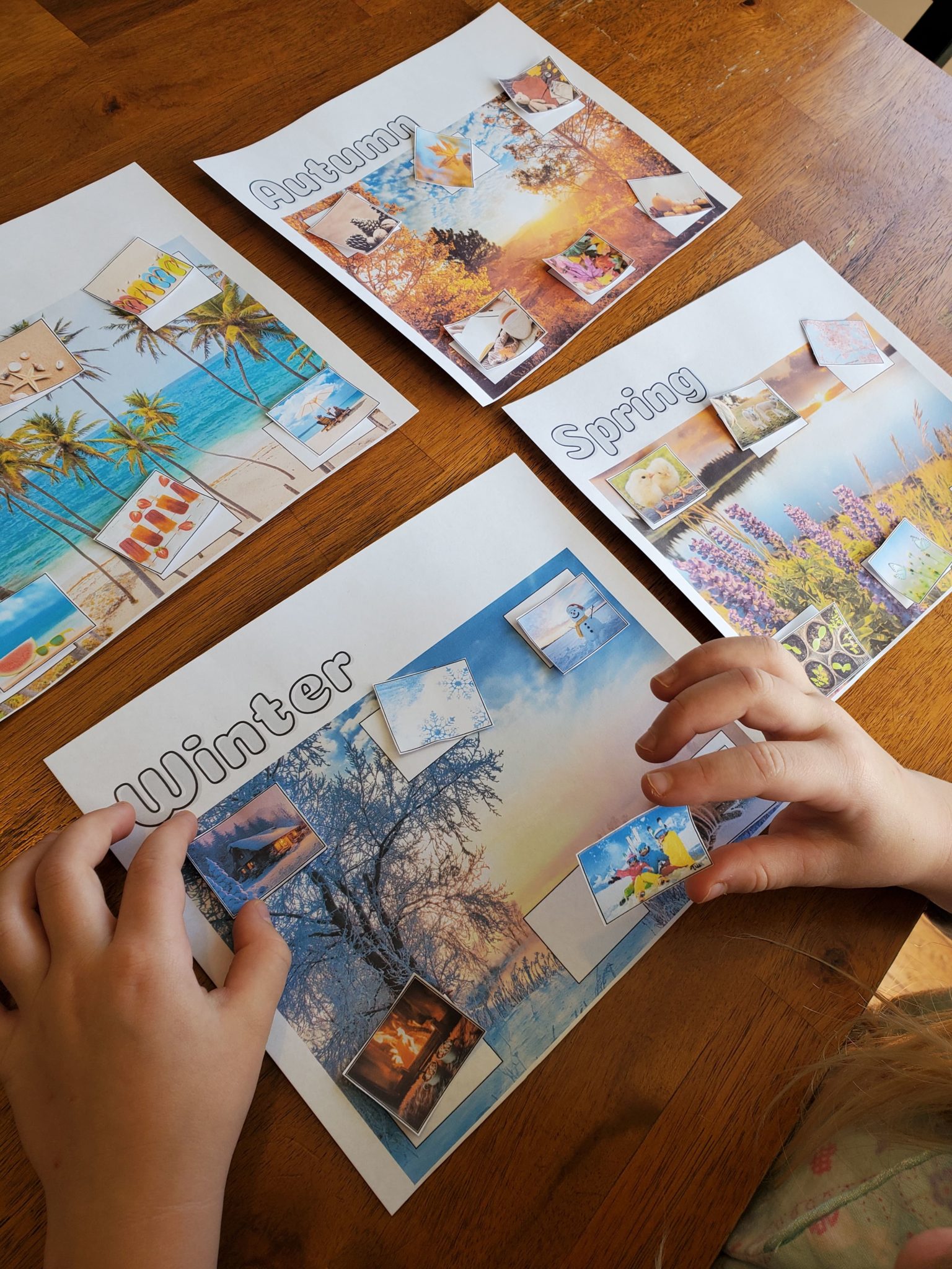 New Zealand Spring Season Unit Study (Ages 4-10) Digital Download ...