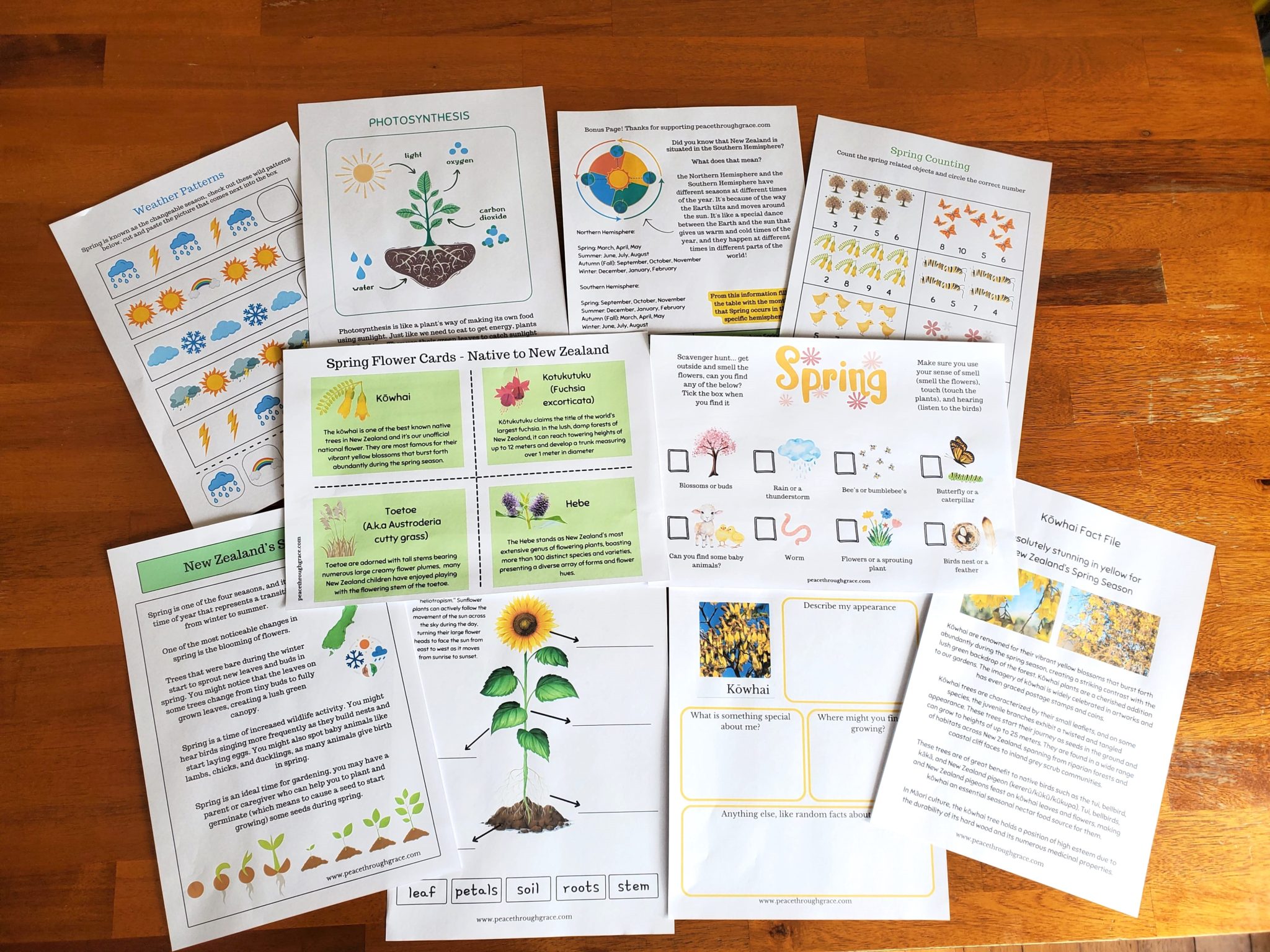 New Zealand Spring Season Unit Study (Ages 4-10) Digital Download ...