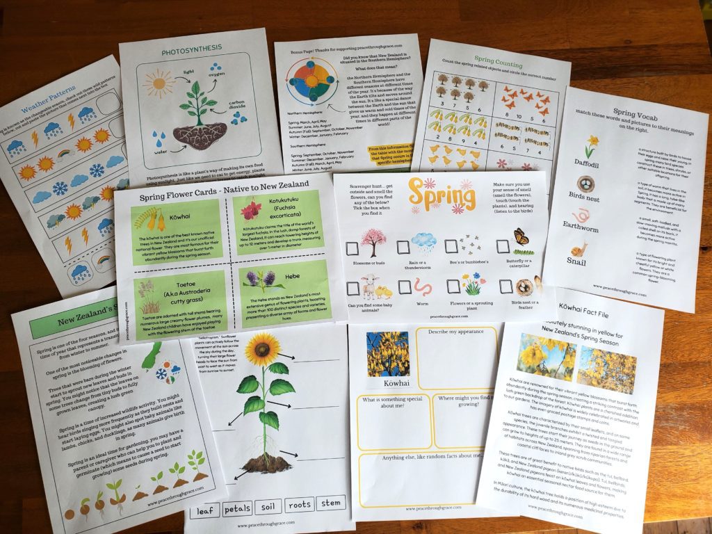 New Zealand Spring Season Unit Study (Ages 4-10) Digital Download ...