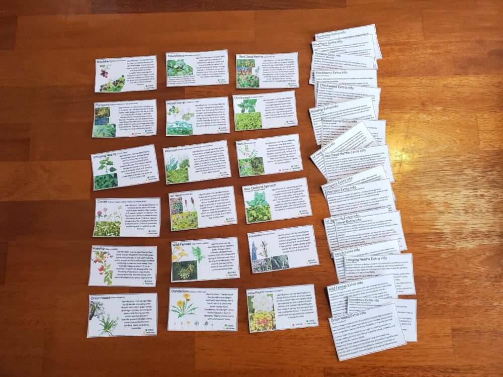 New Zealand Foraging Guide and Identification Cards - Downloadable