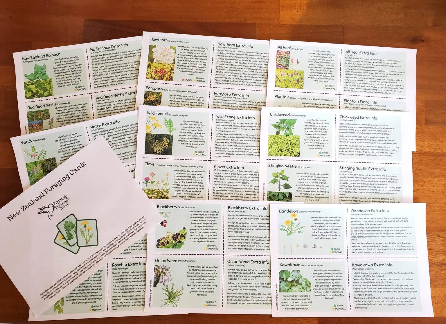 New Zealand Foraging Identification Cards - Downloadable Printable