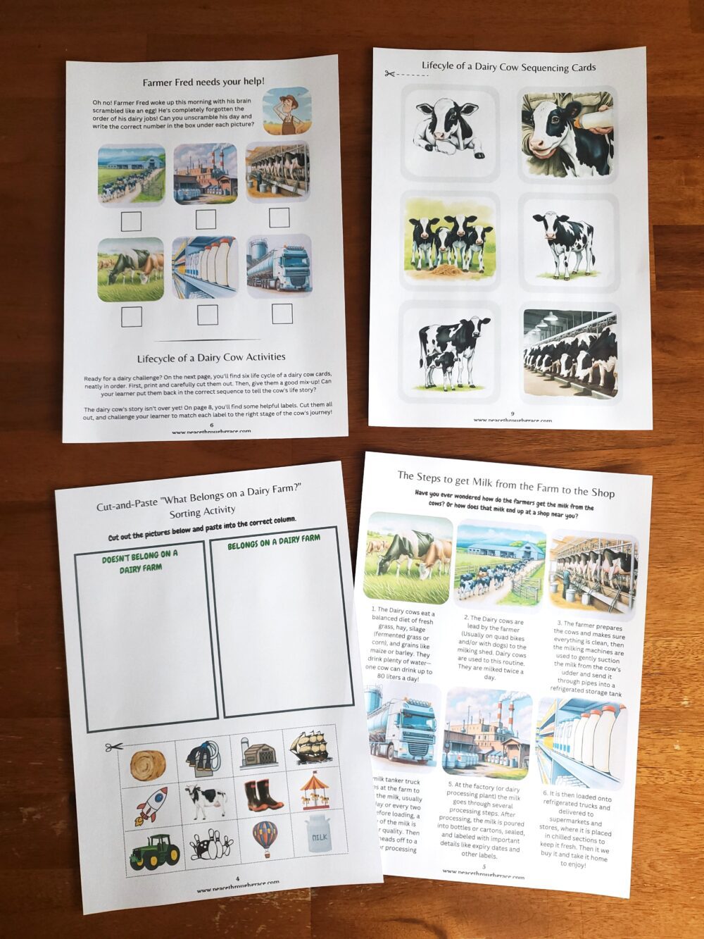 Dairy Farming Unit Study - NZ/AUSTRALIA (Ages 5-10) Printable Bundle