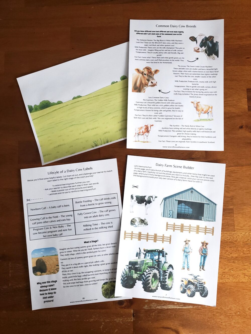 Dairy Farming Unit Study - NZ/AUSTRALIA (Ages 5-10) Printable Bundle