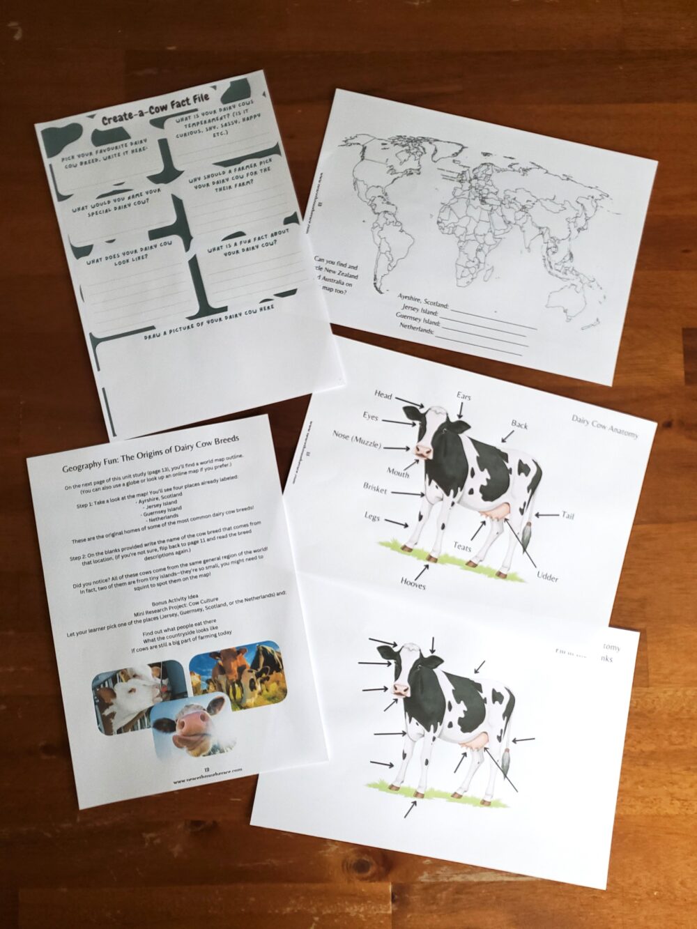 Dairy Farming Unit Study - NZ/AUSTRALIA (Ages 5-10) Printable Bundle