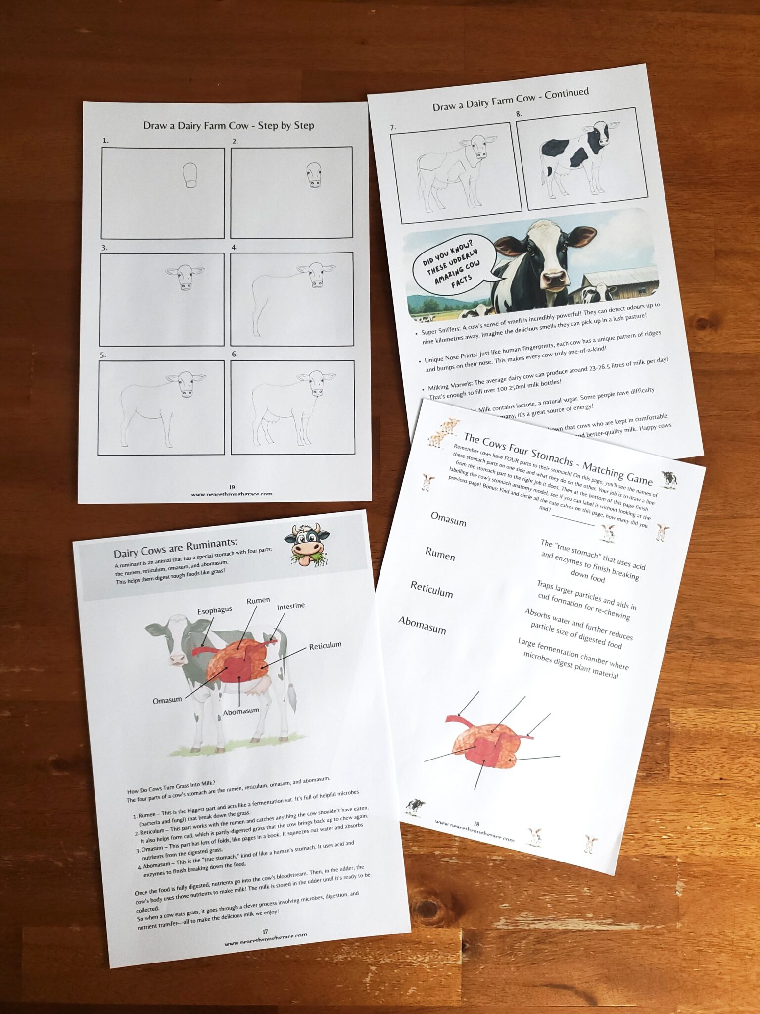 Dairy Farming Unit Study - NZ/AUSTRALIA (Ages 5-10) Printable Bundle