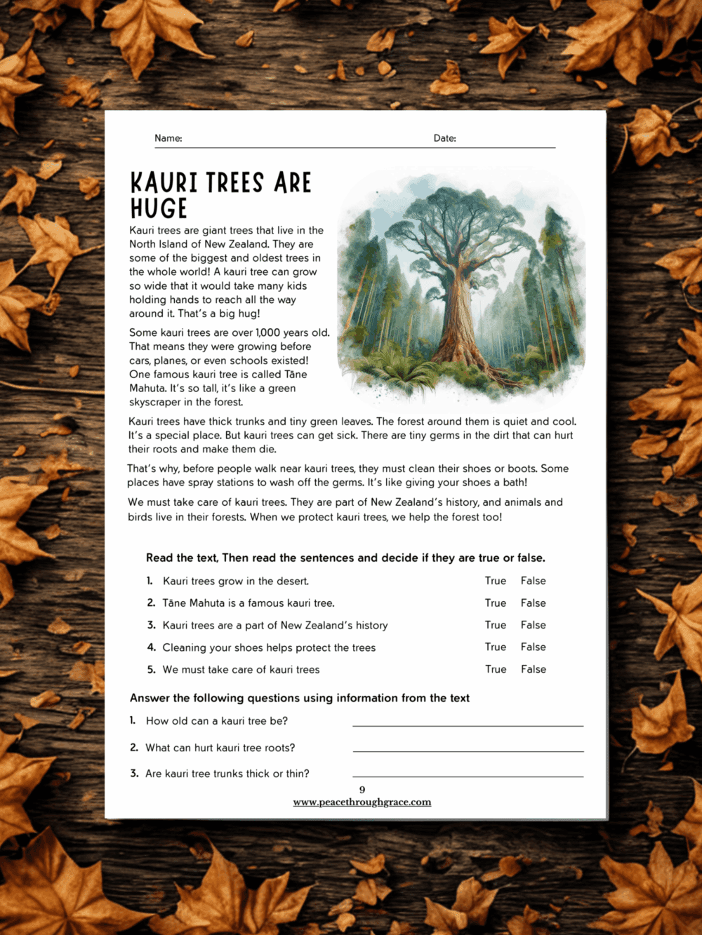 Nature Reading Pack – NZ & Australia (Ages 5-9) Printable Mini Bundle
